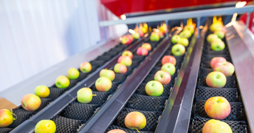 Fruit sorter retrofit para tu antiguo calibrador